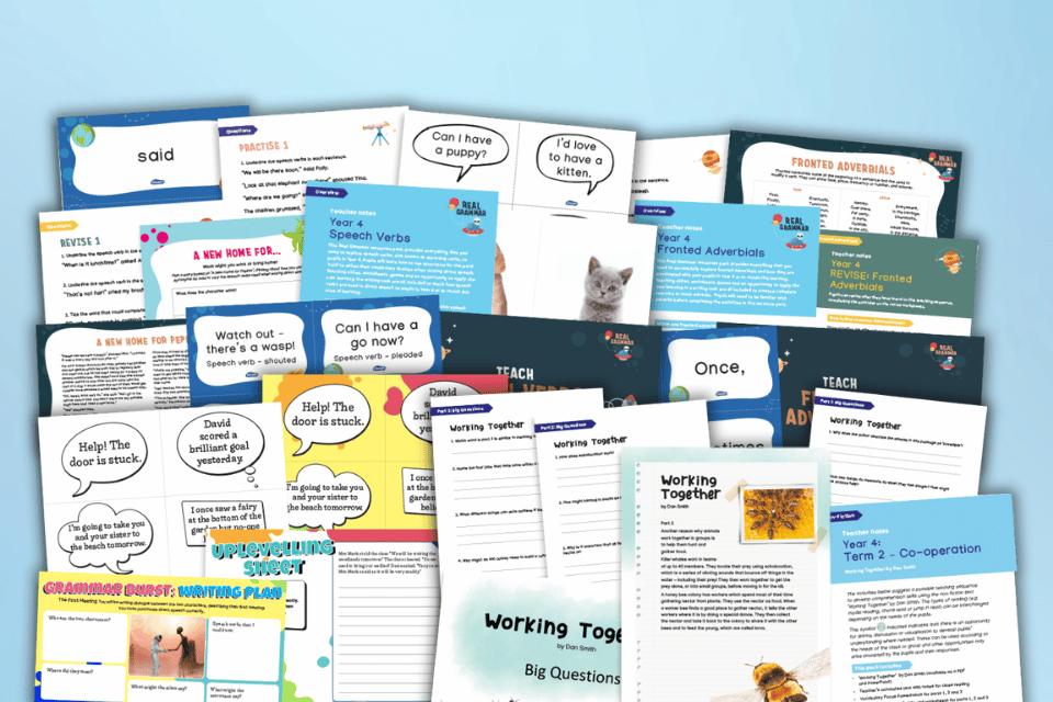 Year 4 English – Expert insights & classroom strategies Blog | Plazoom