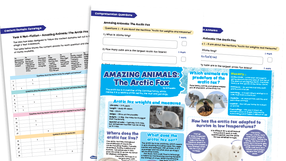 Year 4 Non fiction Reading Comprehension Worksheets with KS2 Content