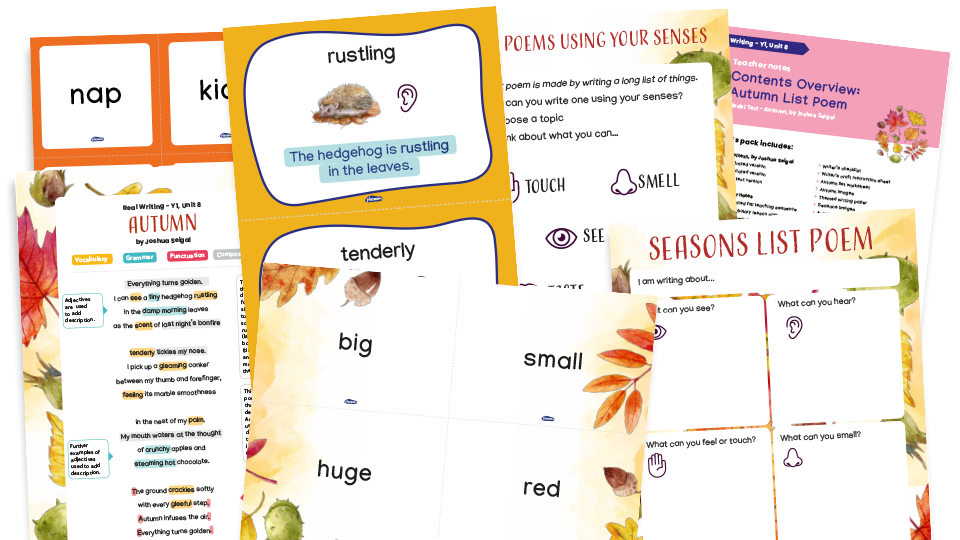 Year 1 Model Text Resource Pack 8: Autumn (Poem; geography - seasonal ...