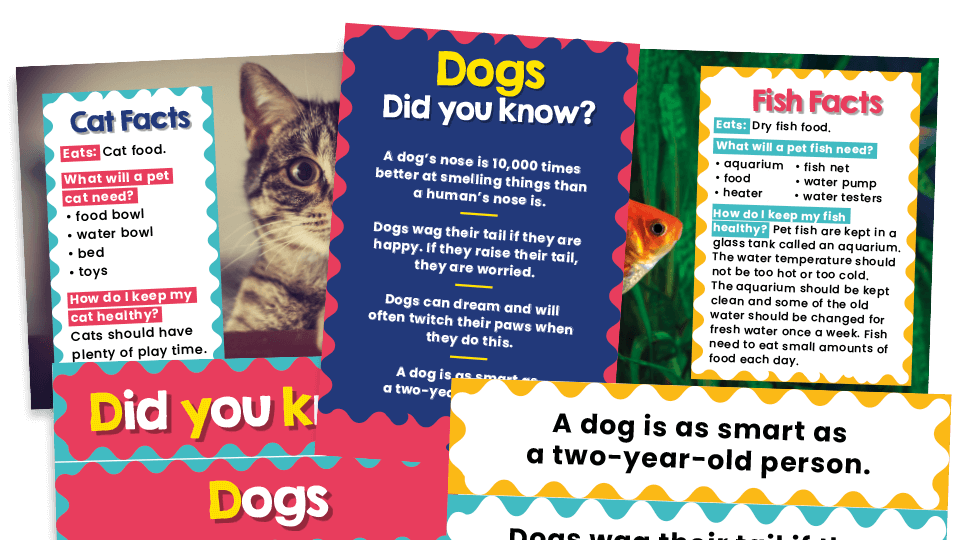 KS1 Science – ‘Pet Facts’ Posters for Classroom Displays and ...