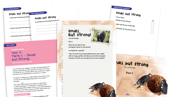 Y1 Reading Comprehension (summer): Have You Seen…? | Plazoom