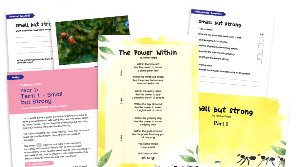 Y1 Reading Comprehension (summer): Have You Seen…? | Plazoom