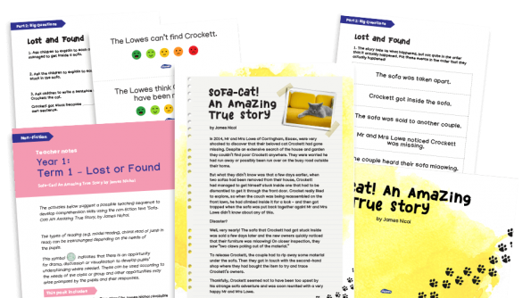 Y1 Reading Comprehension (summer): Have You Seen…? | Plazoom