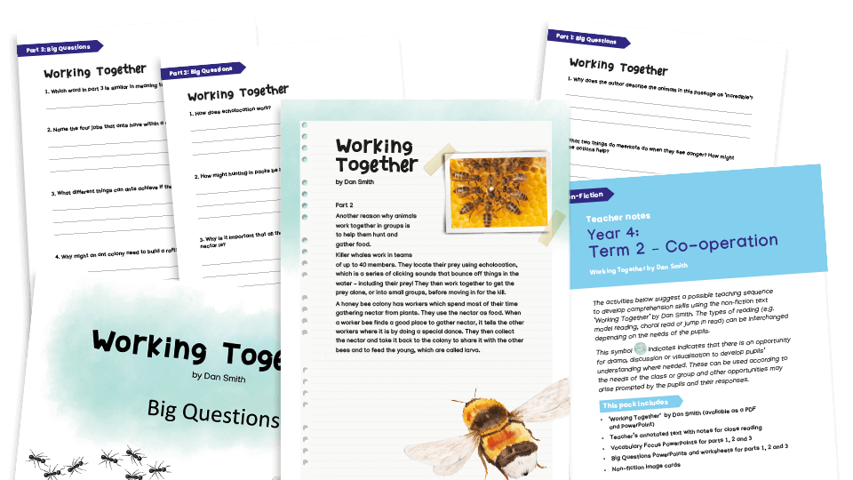 Y4 Reading Comprehension (spring): Working Together | Plazoom