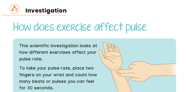 Home Learning Project Pack: Keeping Active (Year 3- Year 6) | Plazoom