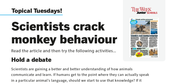 Topical Tuesdays: Evolution in Monkey Behaviour – KS2 News Story and ...