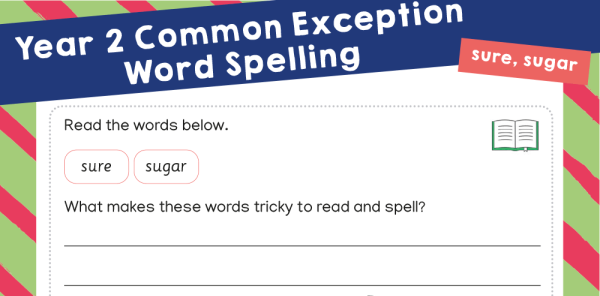 Year 2 Common Exception Words (CEW) Worksheets - Practice Pack 4 | Plazoom