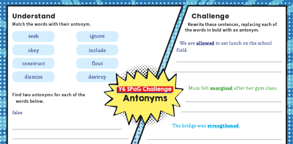 Antonyms Year 6 Features of Writing Worksheets | Plazoom