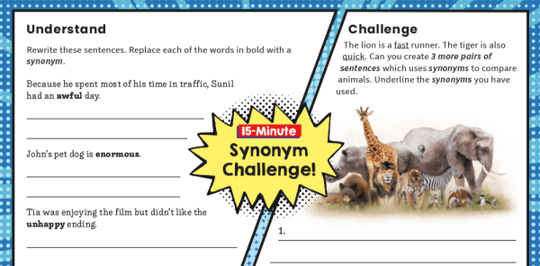 Year 4 Synonyms SPaG Worksheets | Plazoom