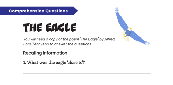 LKS2 Poems: ‘The Eagle’ Resources Pack – Comprehension, Vocabulary ...