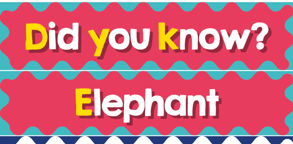 KS1 Science – Zoo Animal Posters for Classroom Displays and Inspiration ...