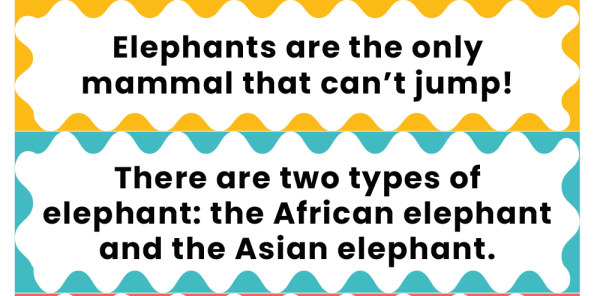KS1 Science – Zoo Animal Posters for Classroom Displays and Inspiration ...