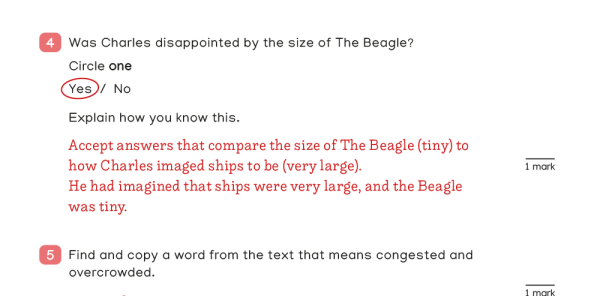 Biography, Narrative & Poem – KS2 SATs Reading Practice (Set C) | Plazoom