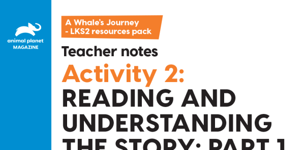 Year 3 and Year 4 Cross-Curricular Resources Pack: A Whale’s Journey ...