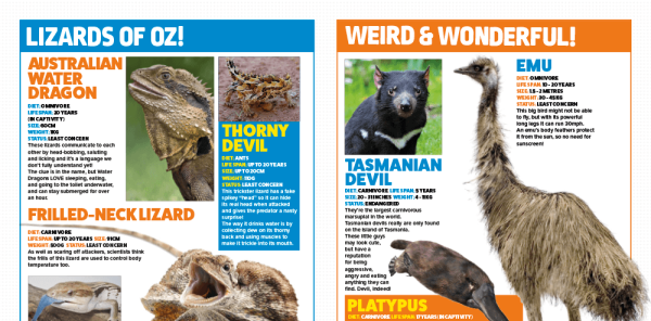 Australian Animals KS2 Comprehension and Writing Activities Pack | Plazoom