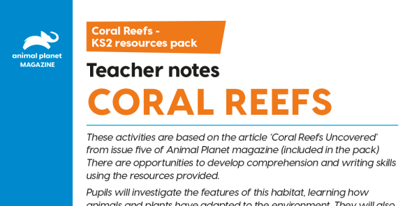 Coral Reefs – KS2 Comprehension and Writing Activities Pack | Plazoom