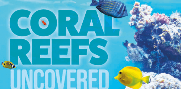 Coral Reefs – KS2 Comprehension and Writing Activities Pack | Plazoom