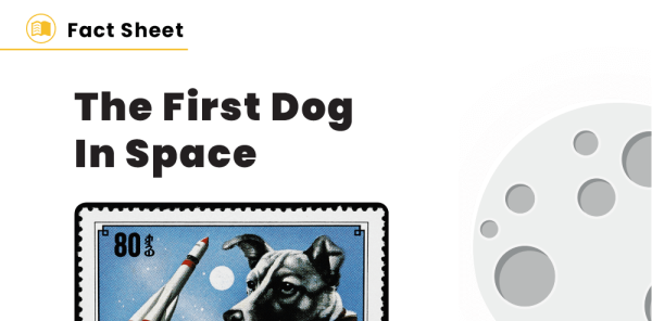 Laika: The First Dog In Space – KS2 Non-fiction Reading Comprehension ...