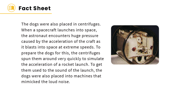 Laika: The First Dog In Space – KS2 Non-fiction Reading Comprehension ...