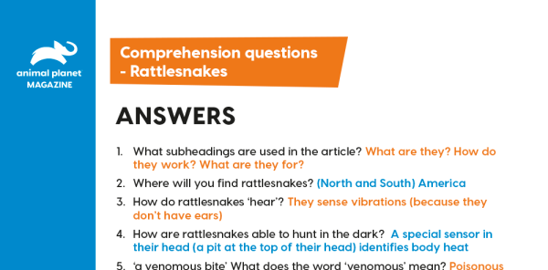 Why Do Rattlesnakes Rattle? – KS2 Comprehension and Writing Activities ...