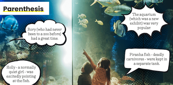 Grammar Posters: SPaG display - KS2 Classroom Displays | Plazoom