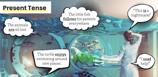 Grammar Posters: SPaG Display – KS1 Classroom Displays | Plazoom