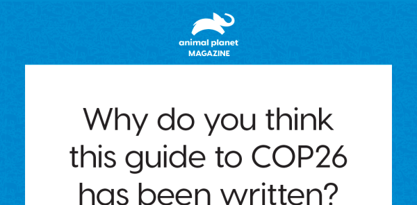 COP26 - Our Climate Manifesto: Whole-school Assembly and Activities ...