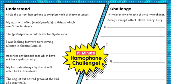 Year 3 and 4 Homophones – KS2 SPaG Challenge worksheet | Plazoom
