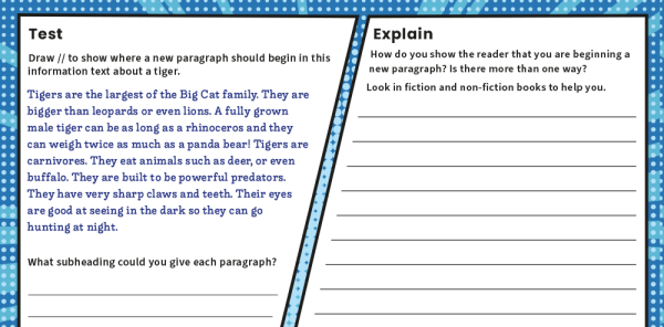 Year 3 Introduction to Paragraphs - KS2 Grammar Worksheets | Plazoom