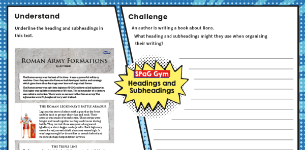 Year 3 Headings and Subheadings - KS2 Grammar Worksheets | Plazoom