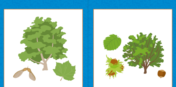 Trees: The Lungs of the Earth - KS2 Comprehension and Writing ...