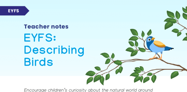 EYFS Describing Birds - oracy and emergent writing resources pack | Plazoom