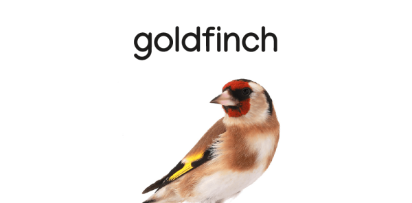 EYFS Describing Birds - oracy and emergent writing resources pack | Plazoom