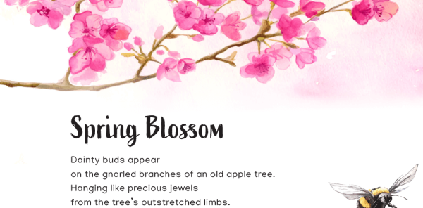 KS2 Poems WAGOLL Pack (Year 5 and 6 Spring Writing) - Figurative ...