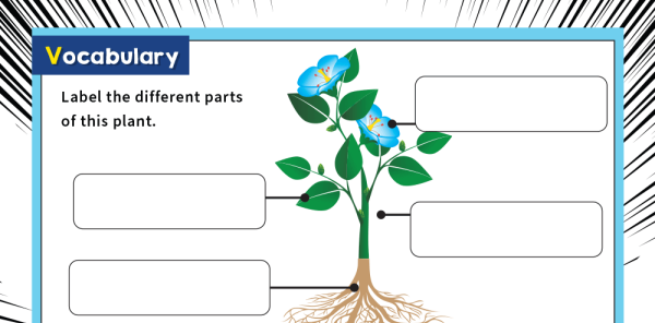 Science Topic Checker: Year 3 - Plants | Plazoom