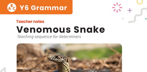 Determiners KS2 - ‘Venomous Snake’ SPaG Worksheet | Plazoom
