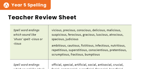 Year 5 Spelling Games - Word Sorting Activity Pack | Plazoom