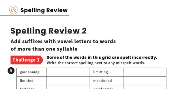 Year 3 Spelling Revision Challenge Worksheets | Plazoom