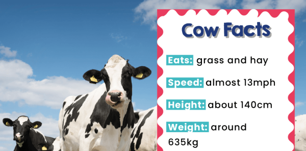 KS1 Science – Farm Animal Facts Posters for Classroom Displays and ...