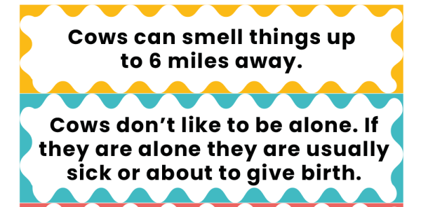 KS1 Science – Farm Animal Facts Posters for Classroom Displays and ...