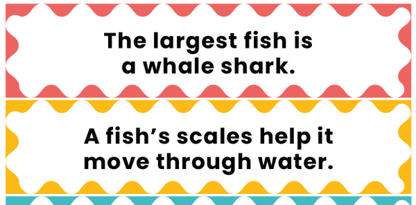 KS1 Science – ‘Pet Facts’ Posters for Classroom Displays and ...