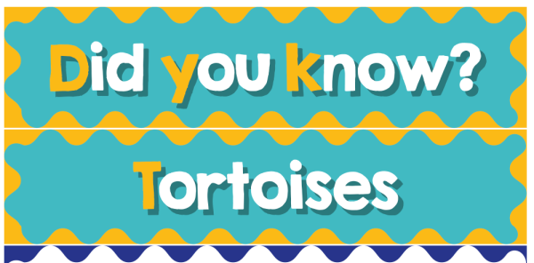 KS1 Science – ‘Pet Facts’ Posters for Classroom Displays and ...