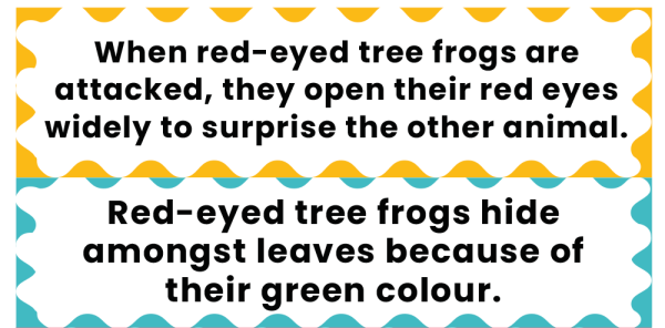 KS1 Science – Rainforest Animals Facts Posters for Classroom Displays ...