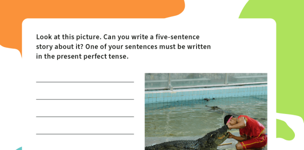 Present Perfect Tense Year 3 Grammar Worksheets Lesson Pack | Plazoom