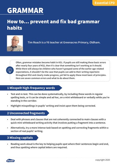 prevent and fix bad grammar habits CPD | Plazoom