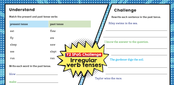 Year 2 Irregular Verb Tenses SPaG Worksheets | Plazoom