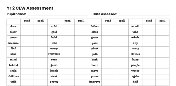 Year 2 Common Exception Words – Word Mat and Word Cards | Plazoom