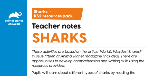 World’s Weirdest Sharks: KS2 Comprehension and Writing Activities Pack ...