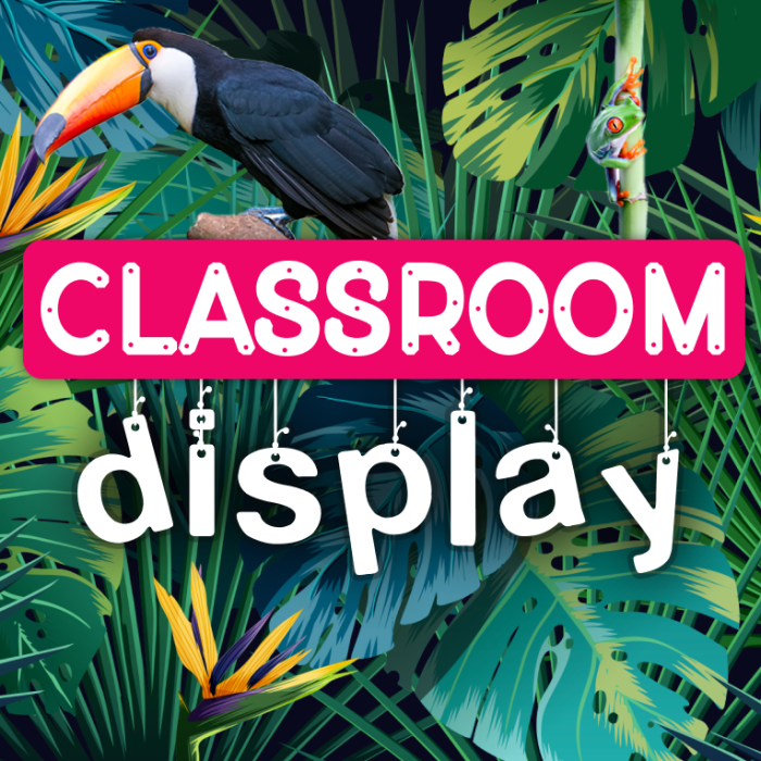 Classroom Display Collection Resources | Plazoom