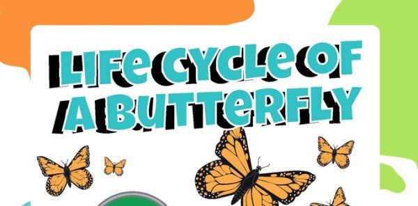 Cohesive devices for non-fiction - KS2 Grammar Burst Pack | Plazoom